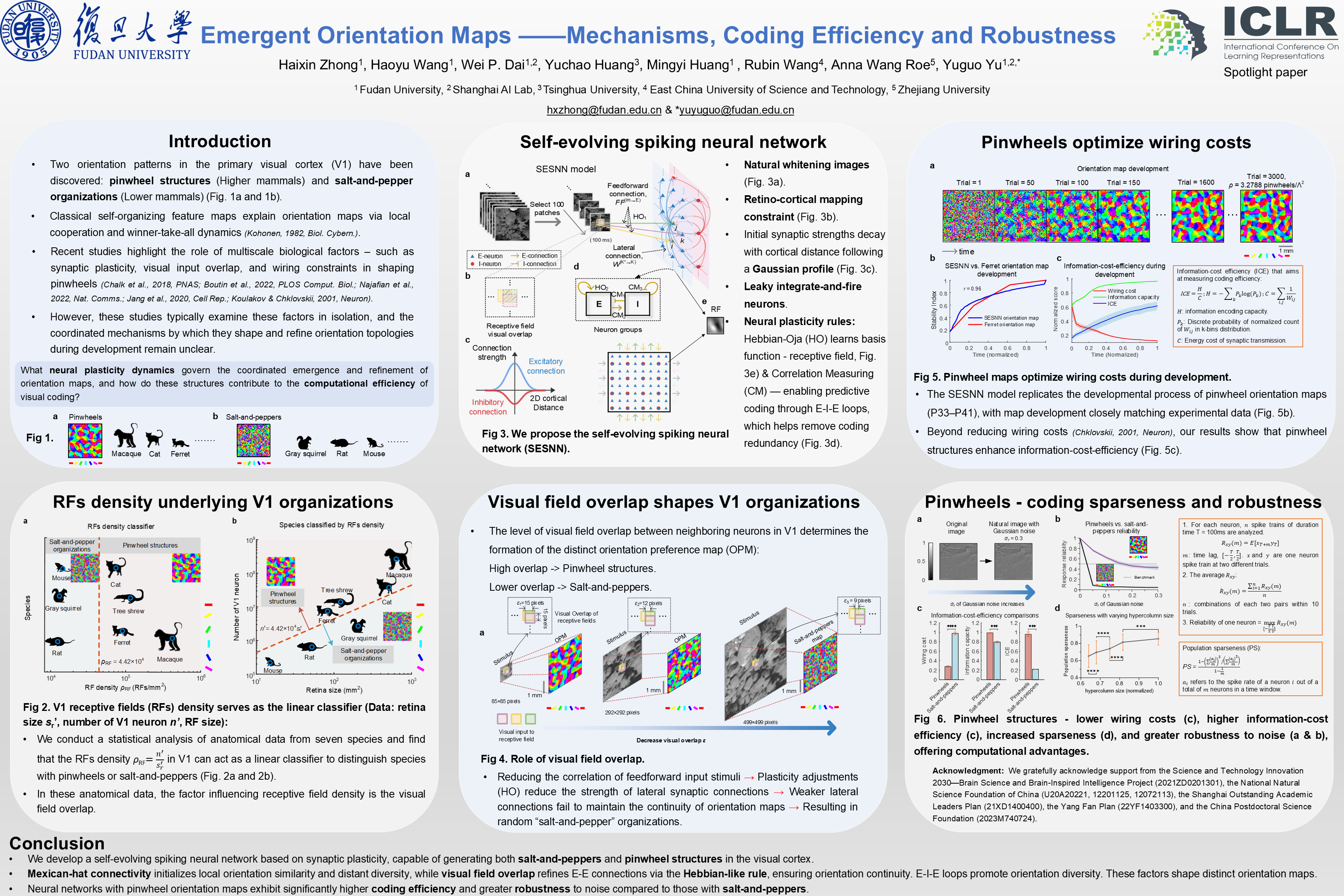 ICLR Poster Emergent Orientation Maps —— Mechanisms, Coding Efficiency and Robustness